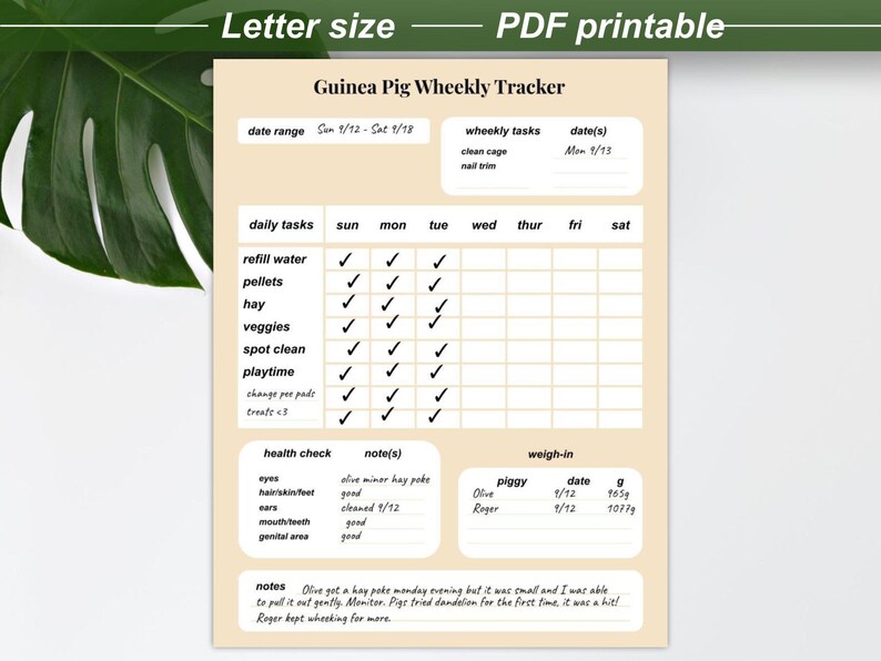 Printable Guinea Pig Weekly Tracker Letter Size Guinea Pig - Etsy