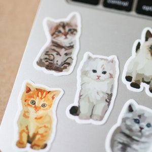 Mini Kitten Stickers | Waterproof, Gift Idea, Sticker Sheet ...