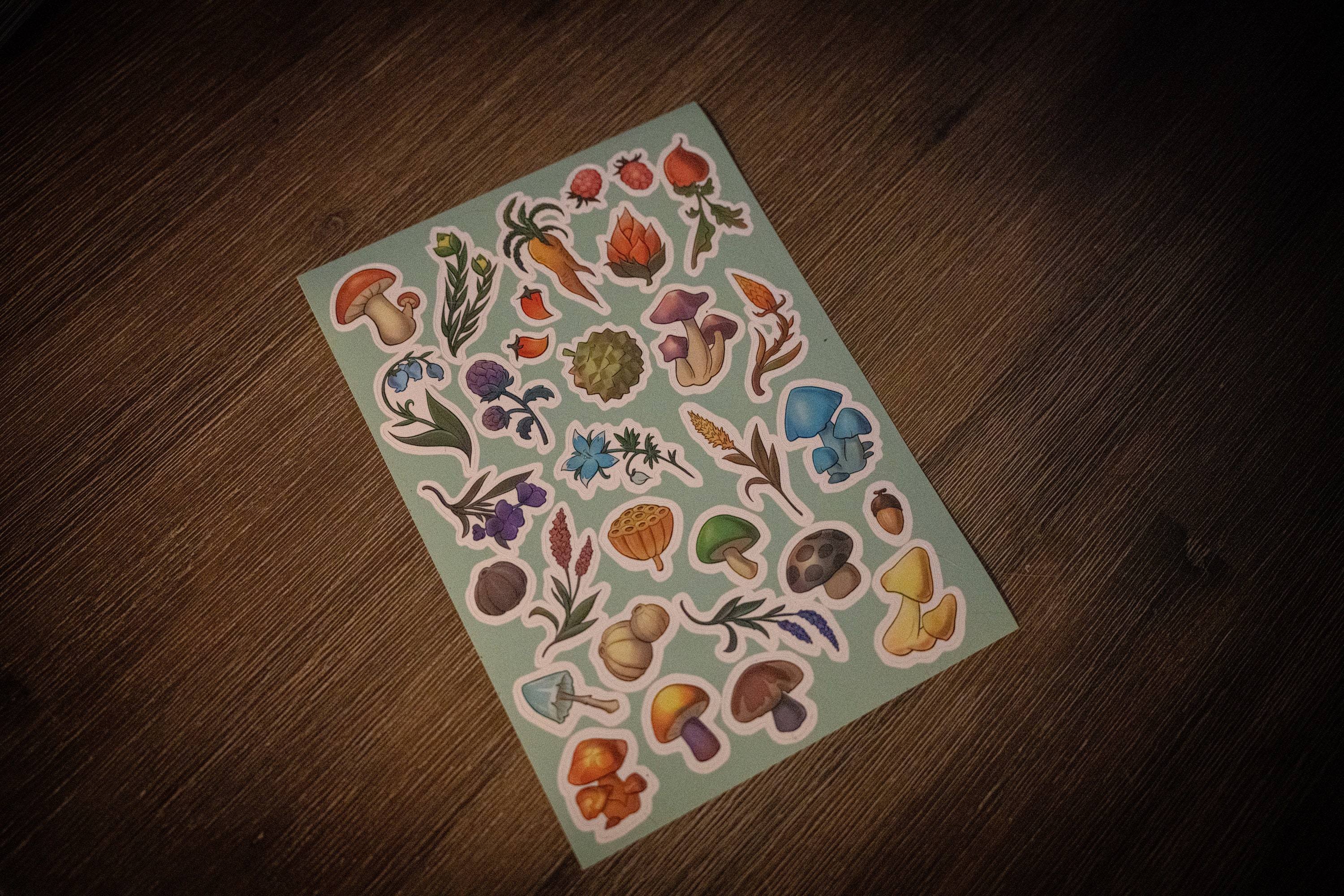 Floral Sticker Set - Zelda Botw Inspired - Etsy