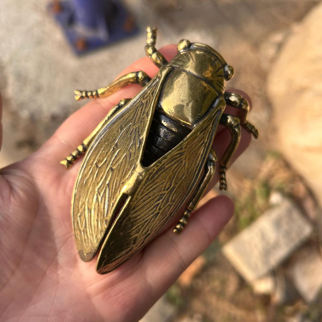 Vintage Brass Cicada Figurine Desk Decor Tea Pet - Etsy