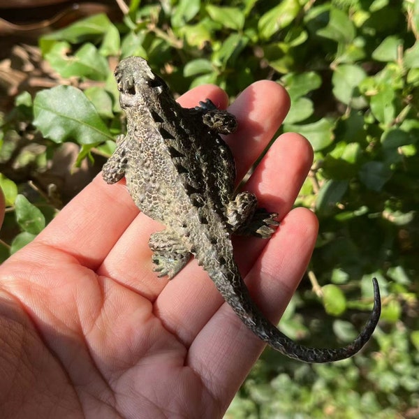 Good Luck Gift - 60+ Gift Ideas for 2024