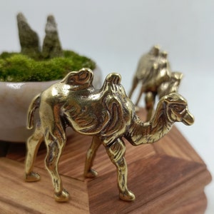 2pcs Brass Mini Camel Statue, Solid Copper Decorative Camel Ornament ...