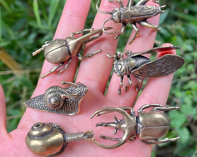 Love Bugs, Choose Your Favorite// Plant Bugs // Entomology // Ceramic ...