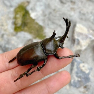 Copper Beetle Statue Animal Statue Pendant,wealth Insect Status ...