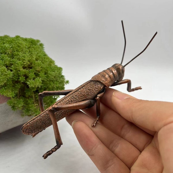 Realistic Insect Model - Etsy