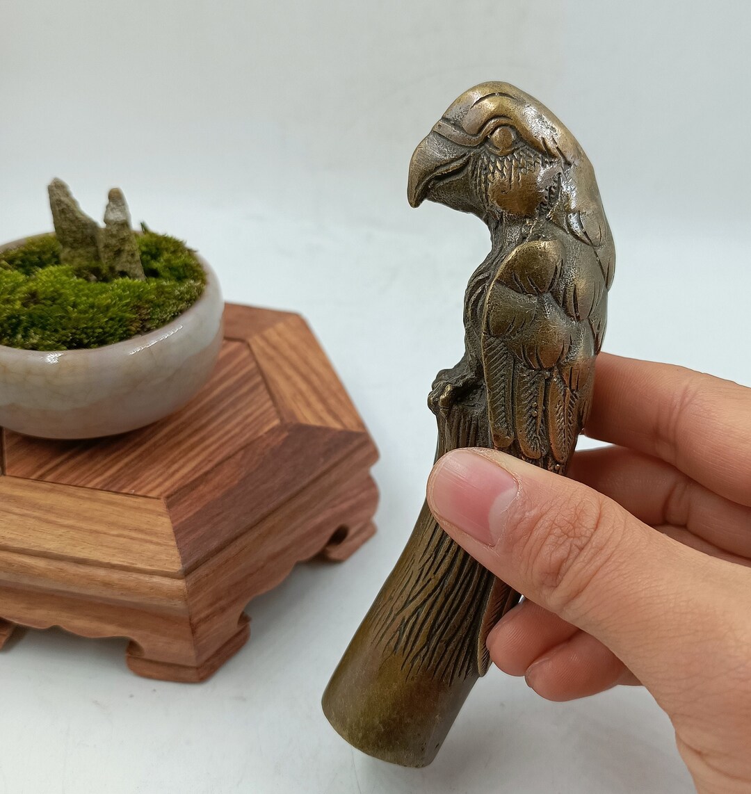 Walking Stick Cane Animal Head Brass Cane for Walking Stick Men & Women ...