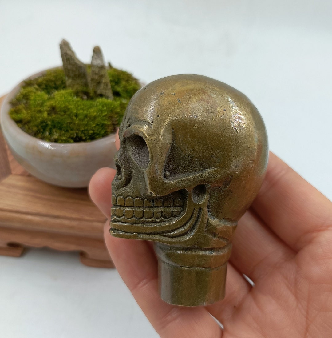 ZF370 Walking Stick Cane Human Skull Head Brass Cane Handle for Walking ...