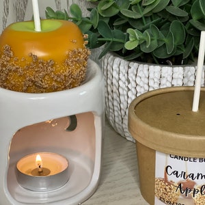 Caramel Apple Wax Melt Realistic Food Wax Melt Fake Food Soy Wax Melt ...