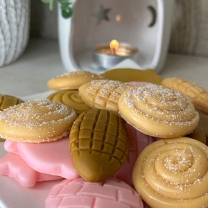 Sweet Mexican Bread Wax Melt Pan Dulce Shaped Wax Melt Fall Sweet Scent ...