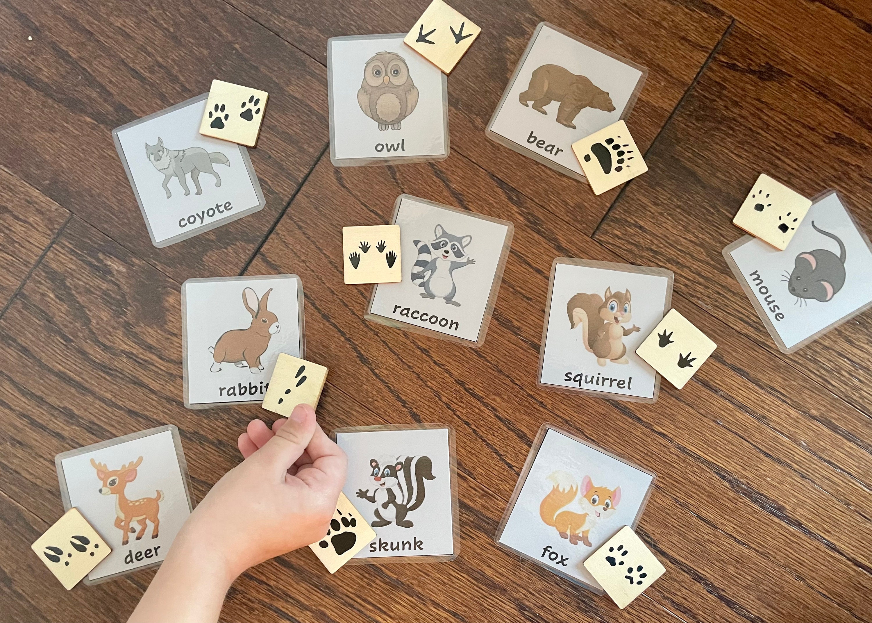 Woodland Animal Sensory Bin for Kids, Kids Gift, Forest Animals, Spring ...