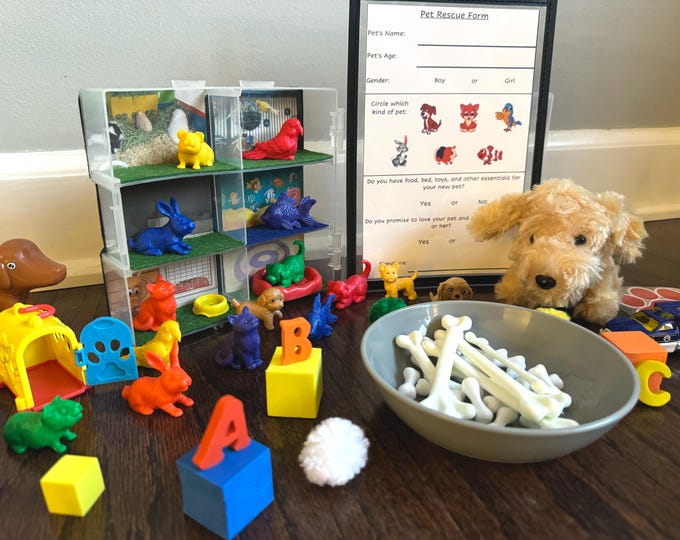 Learning Kit for Kids, Pet Adoption Bin, Small World Play, Kids Spring ...