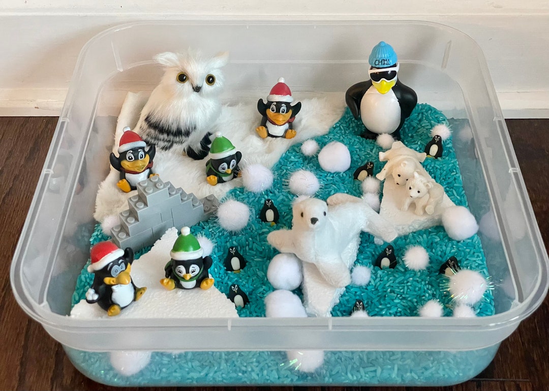 Arctic Sensory Bin for Kids Habitats Kids Gifts Christmas - Etsy