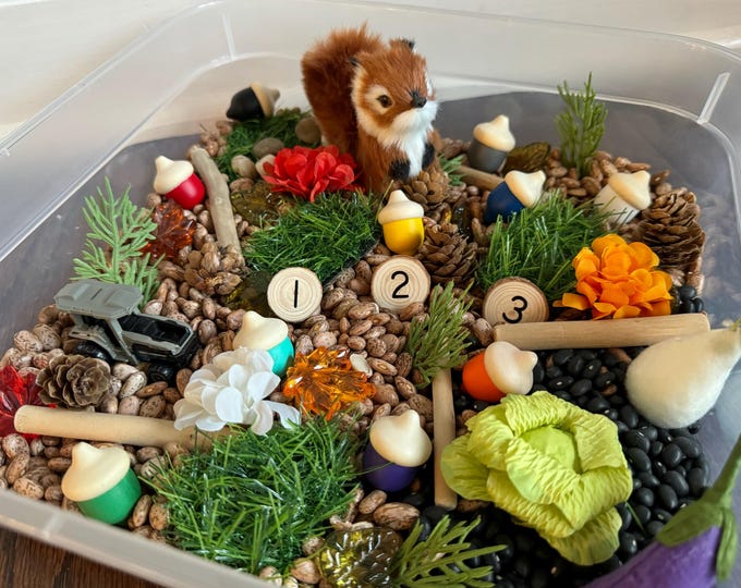 Fall Discovery Bin for Kids, Squirrel, Sensory, Small World Play ...