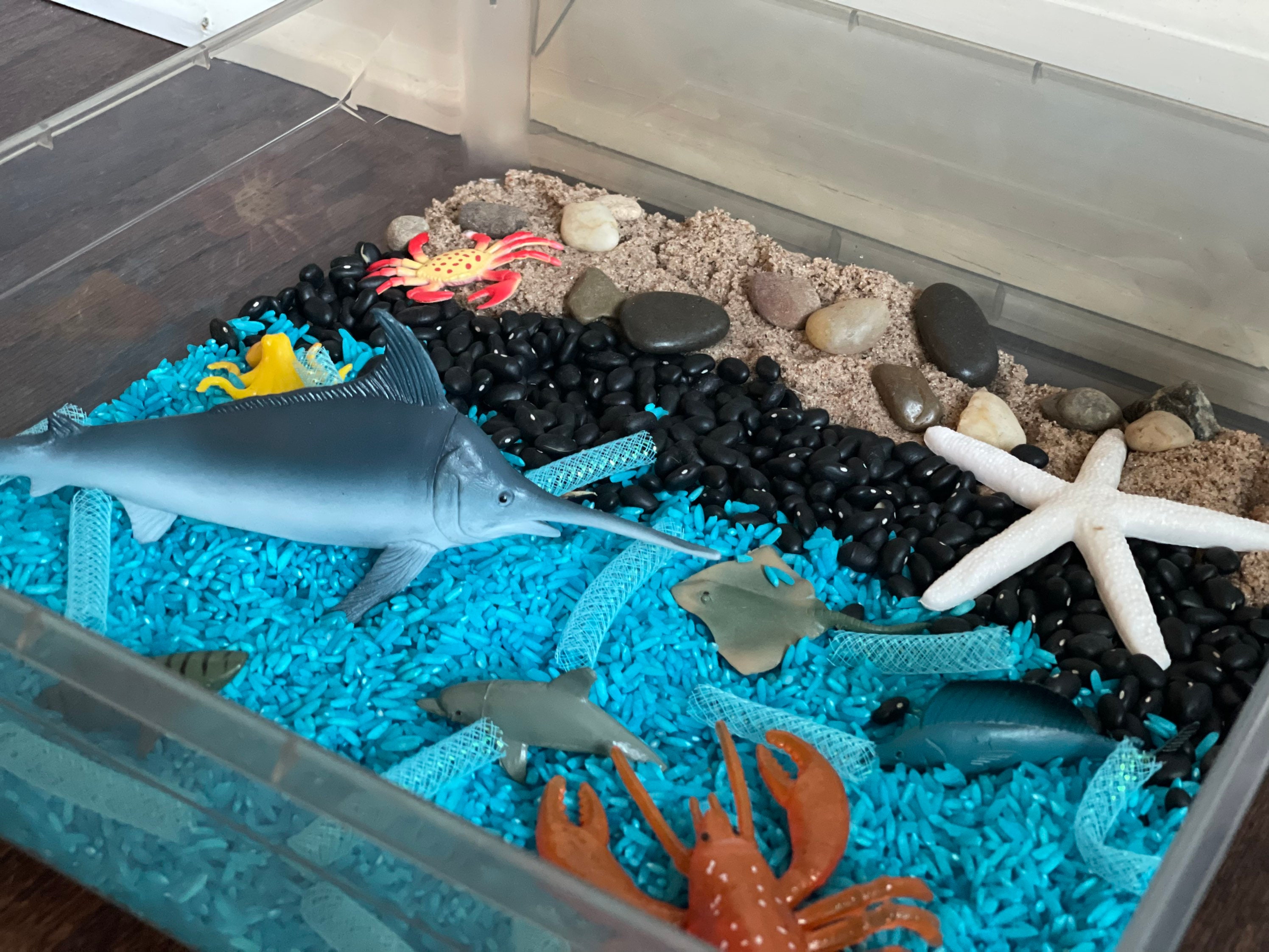 Ocean Biome Project Ideas