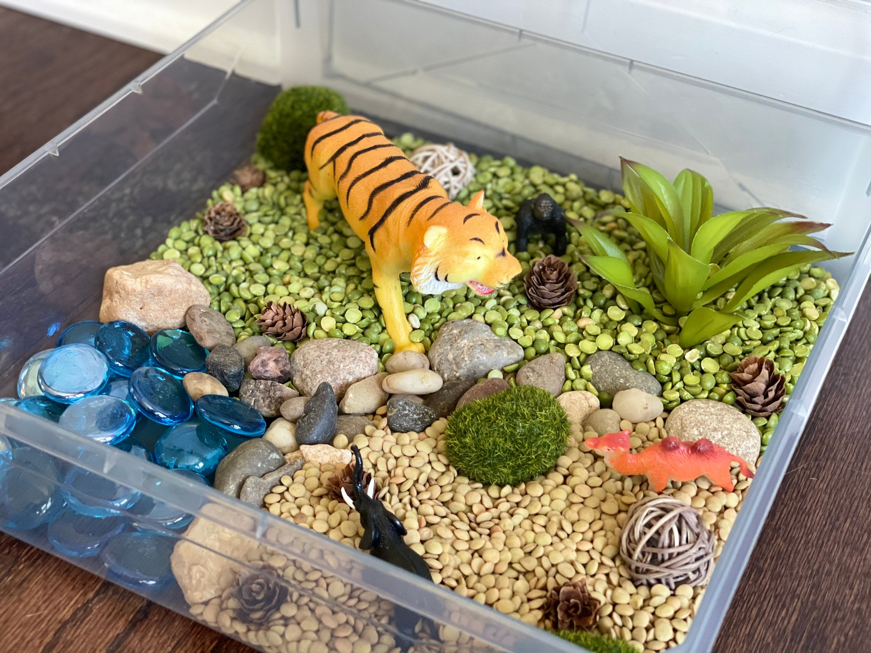 Zoo Animals Sensory Table Zoo Sensory Bin, Zoo Animals Sensory, Taste