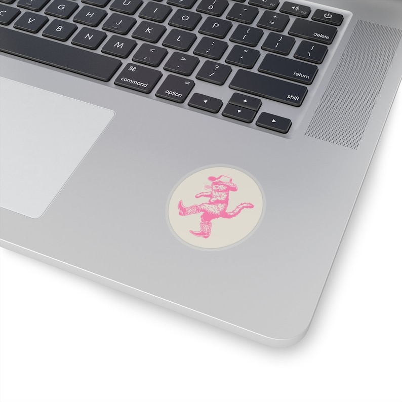 Pink Cowgirl Cat Sticker | Cute Western Cat Aesthetic | Girly Cowboy ...