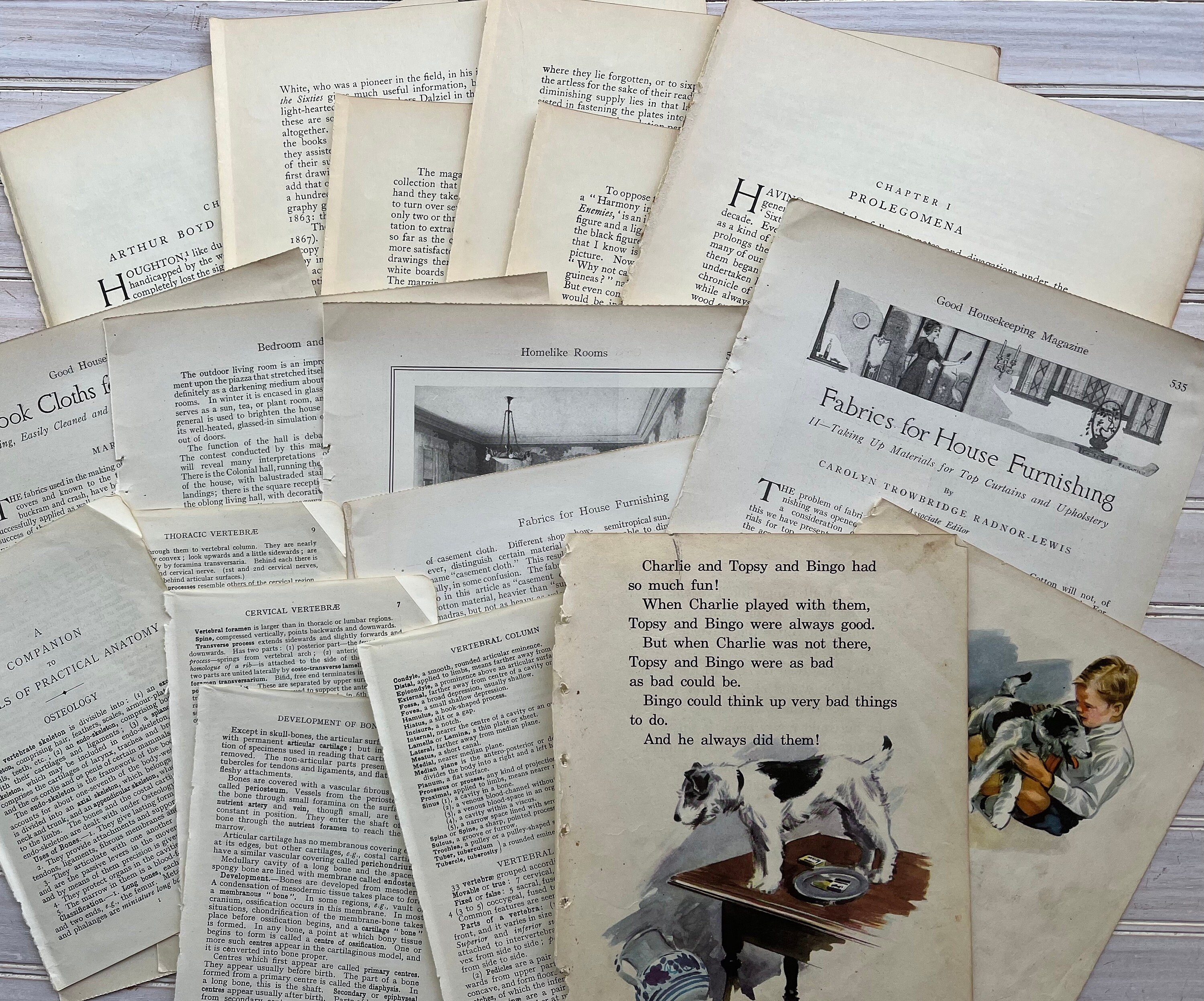 Vintage Book Page and Ephemera Bundle, Vintage Book Pages, Random Junk ...
