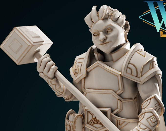 Dnd is a Woman Dwarf Paladin Griste High Detail - Etsy