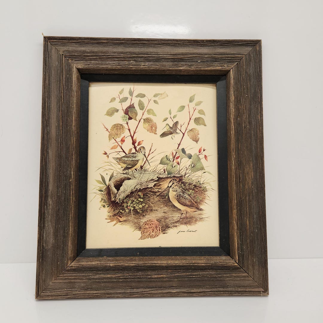 Art, Birds by James Lockhart, Print, Painting, Picture, Vintage Frame ...