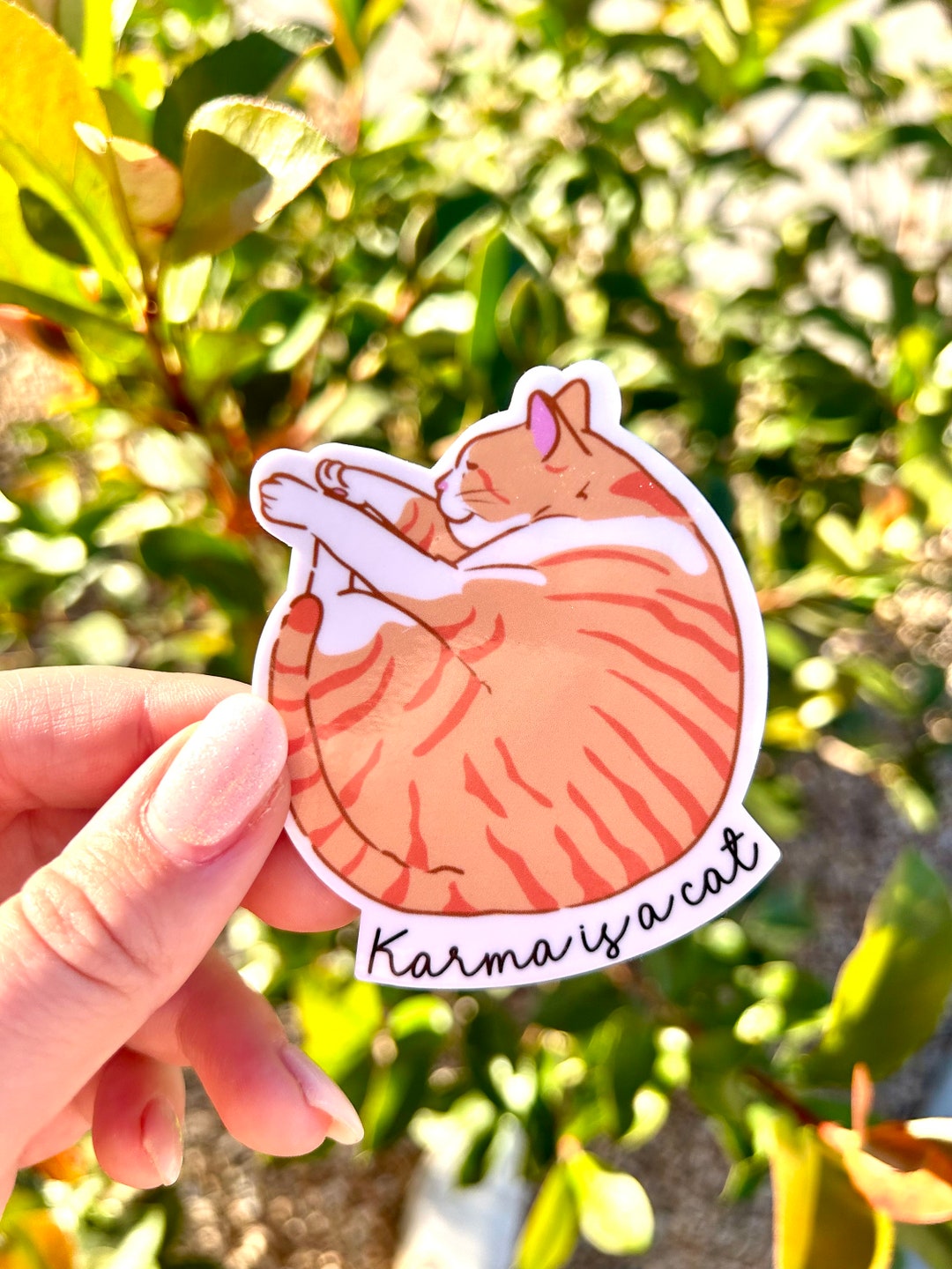 Karma is a Cat Sticker, Taylor Sticker, Swift Sticker, Swiftie Sticker ...