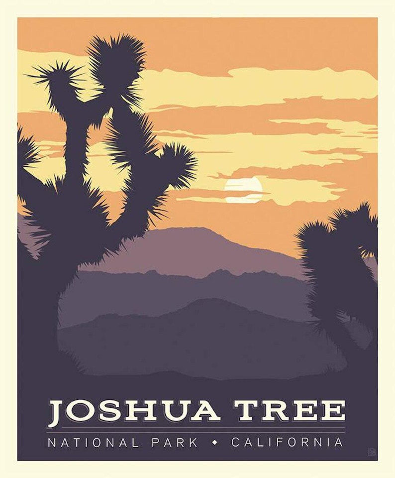 Joshua Tree Quilt KIT - Features National Parks Panel by Riley Blake ...