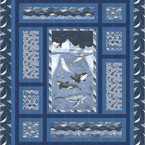 Picture That - Quilt PATTERN - by Kari Nichols of Quilting Renditions ...