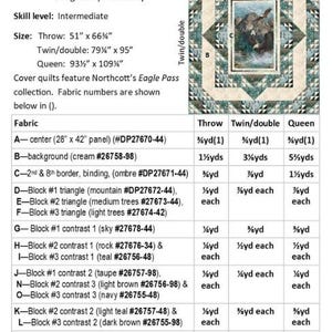 Soar! - Quilt PATTERN - by Patti's Patchwork - Multiple Sizes - Features Eagle's Pass Fabric by ...