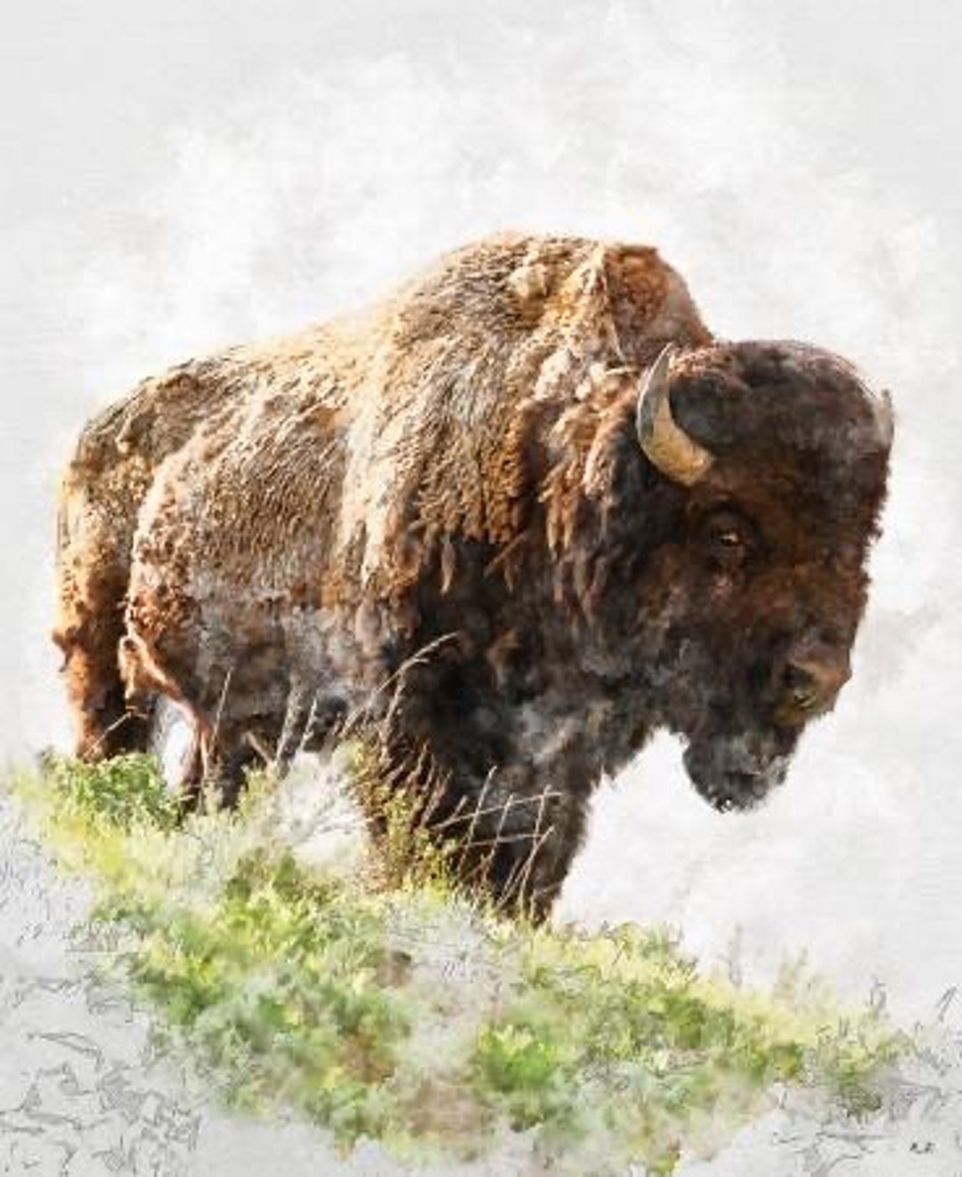 Natures Window - Bison Panel - 36” X 43” - by Greg and Company for ...