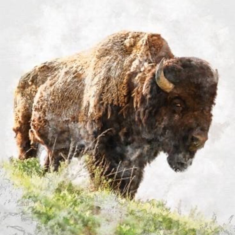 Landscape Quilt Panels - Etsy