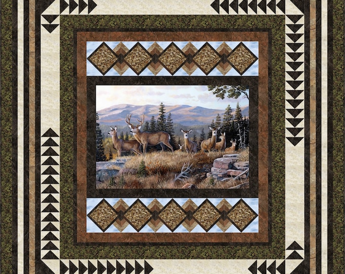 Picture This - Quilt PATTERN - by the Fabric Addict - Multiple Sizes ...