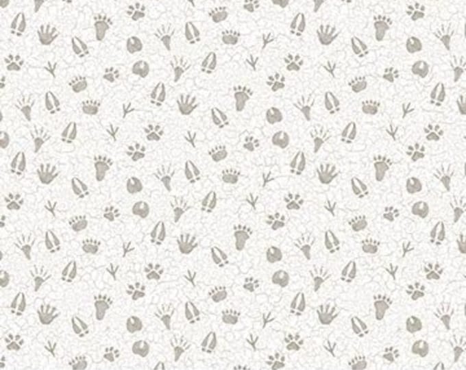 Woodland Adventures - Paw Prints Light Gray - Yardage - by Deborah ...