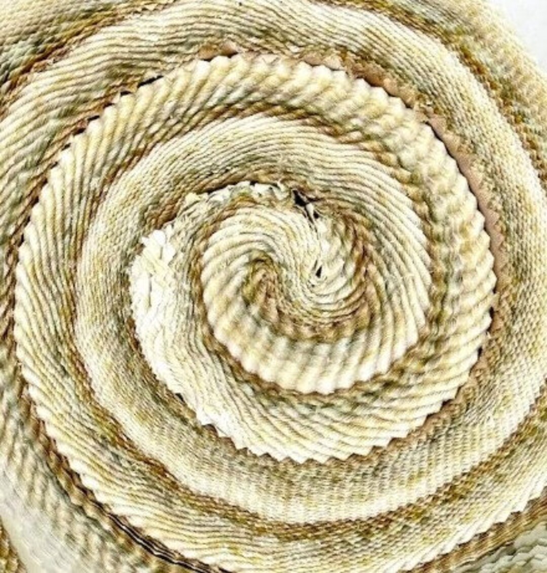 Java Batiks Tan Strips - Jelly Roll - (40) 2.5" Strips - by Maywood ...