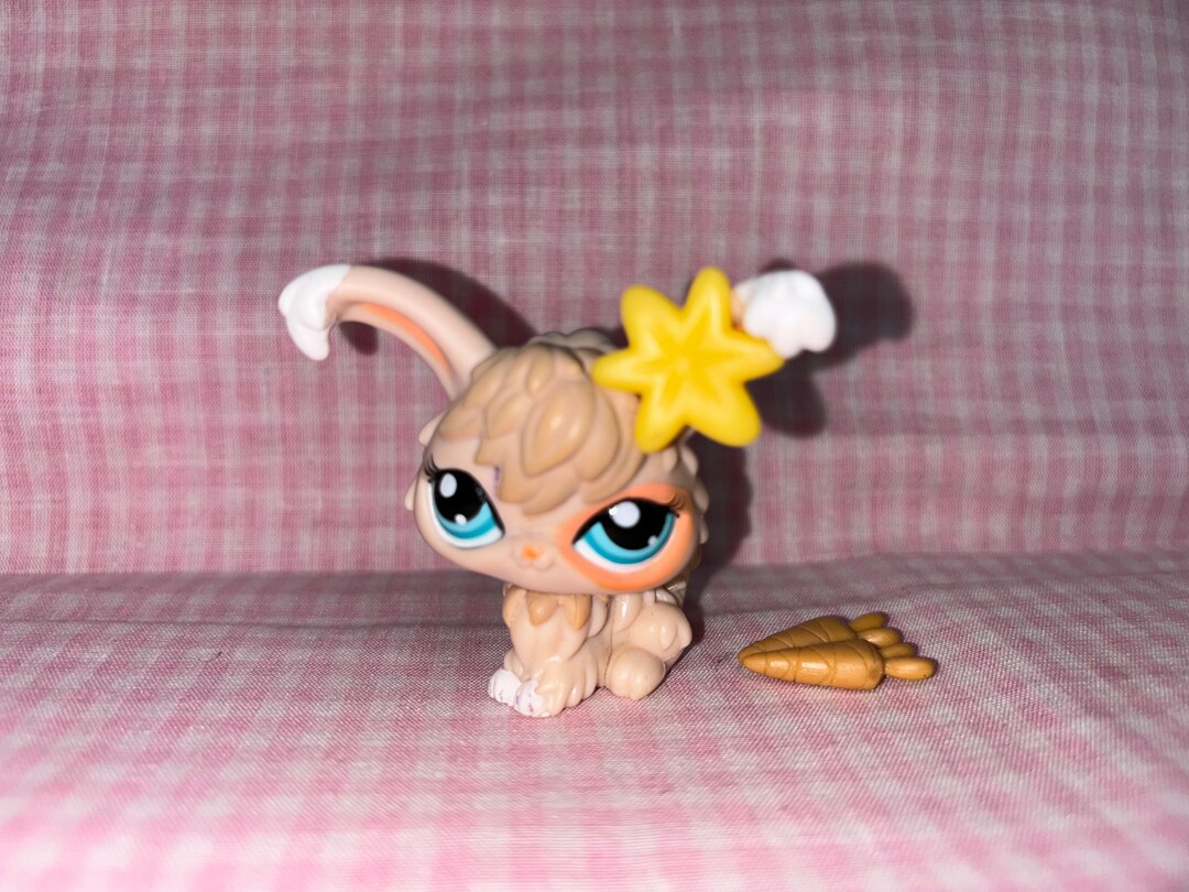 Discontinued LPS Littlest Pet Shop Angora Rabbit With Carrots 011 - Etsy