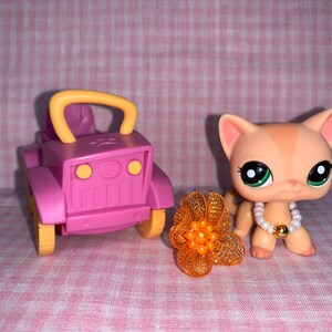 Discontinuous Rare Authentic LPS Littlest Pet Shop Cat With Handmade ...