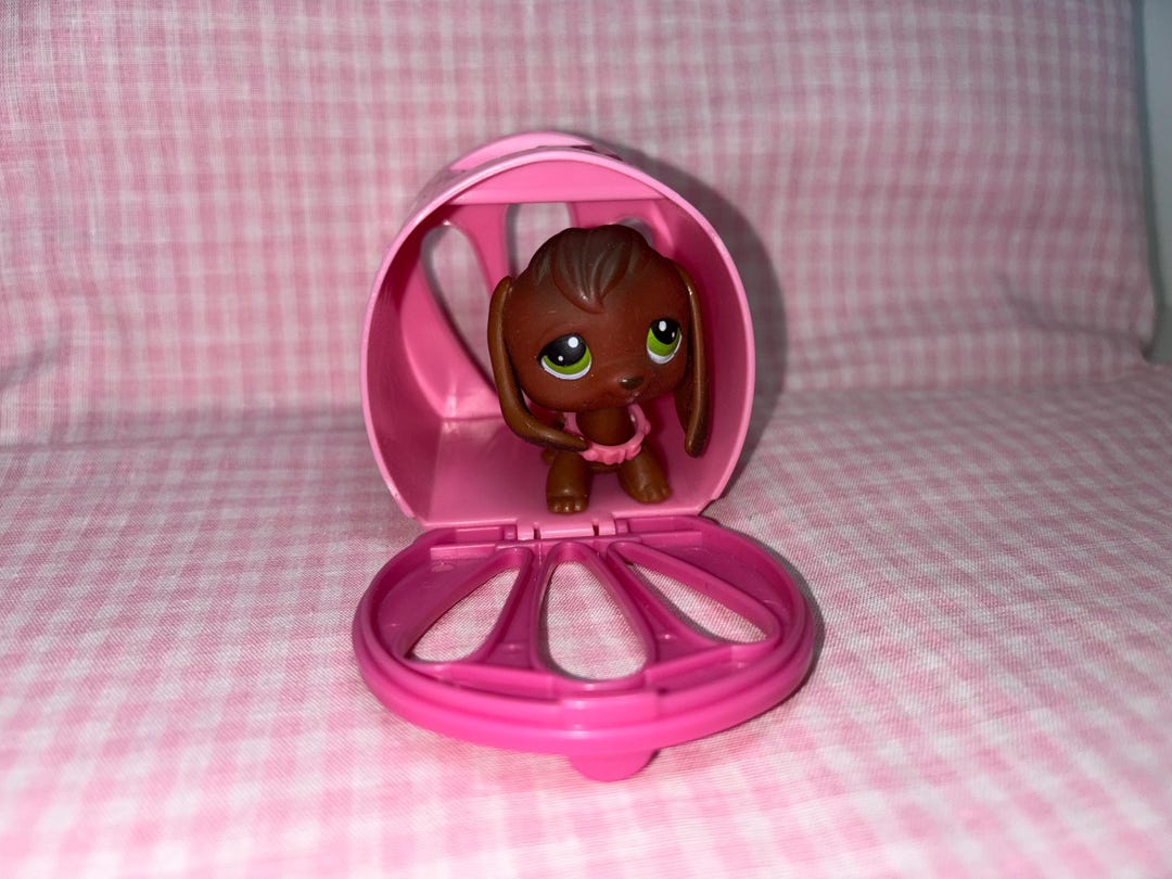 Discontinued Rare LPS Littlest Pet Shop Beagle Dog With Collar Carrier ...