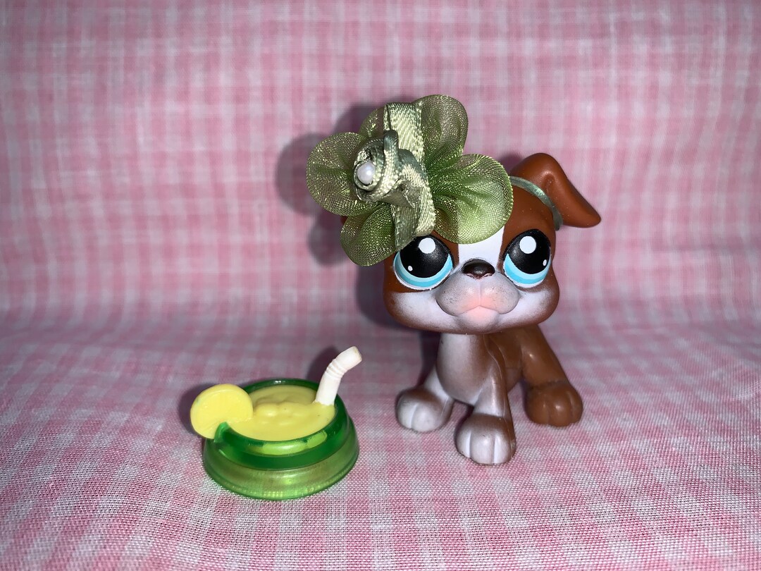 Discontinuous Rare Littlest Pet Shop LPS Littlest Pet Shop - Etsy