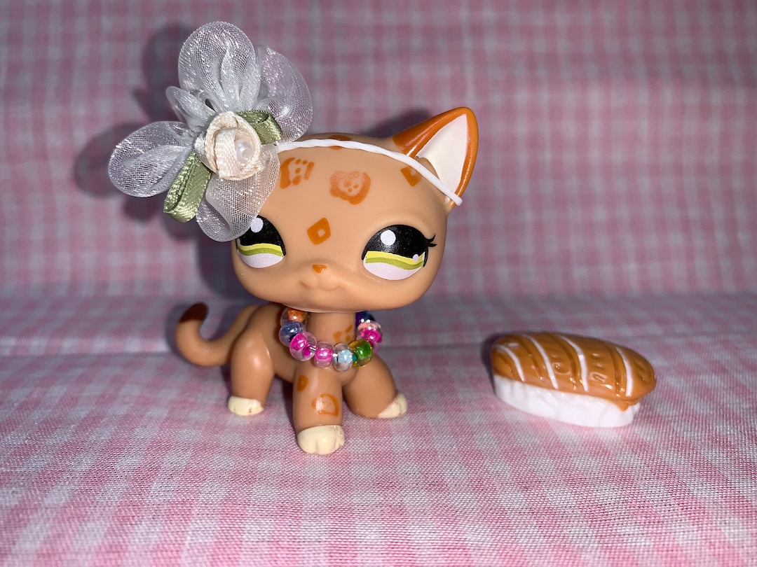Discontinued Rare LPS Littlest Pet Shop Cute Kitten/cat With Handmade ...