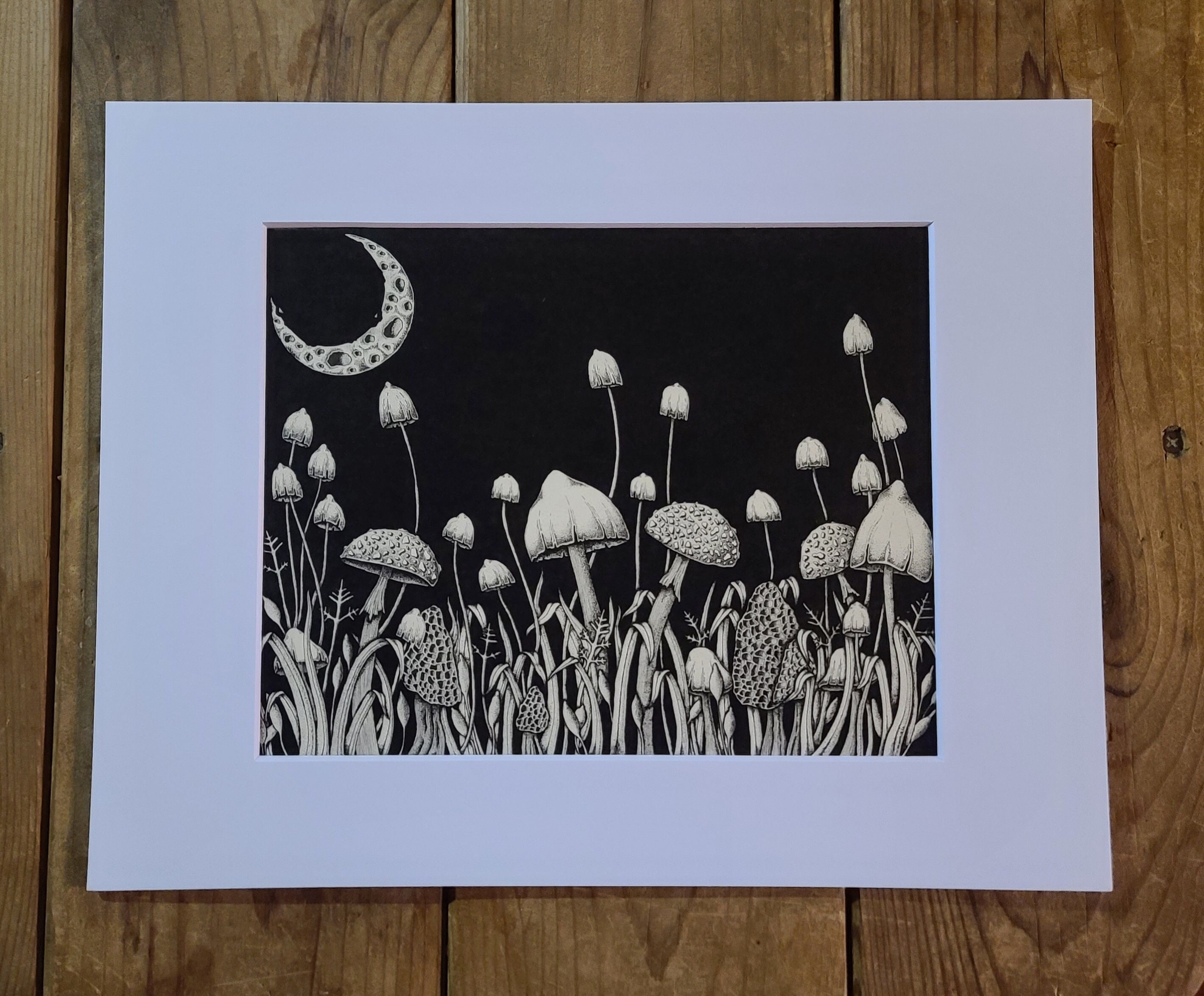Mushroom Art Print, Fungi Design, Morel Prints, Amanita Pen and Ink ...