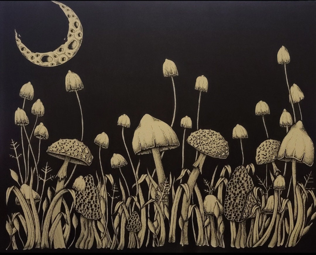 Mushroom Art Print, Fungi Design, Morel Prints, Amanita Pen and Ink ...