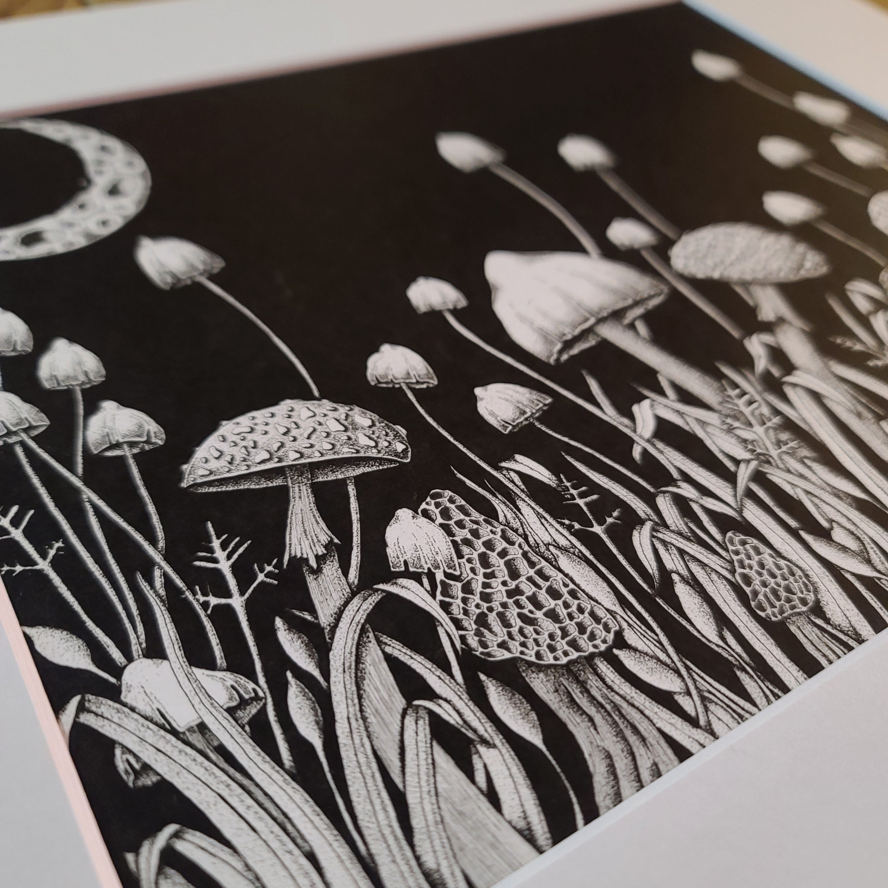 Mushroom Art Print, Fungi Design, Morel Prints, Amanita Pen and Ink ...