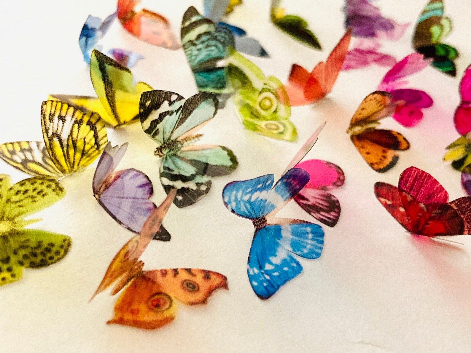 Miniature Individual Butterflies Plastic - Etsy