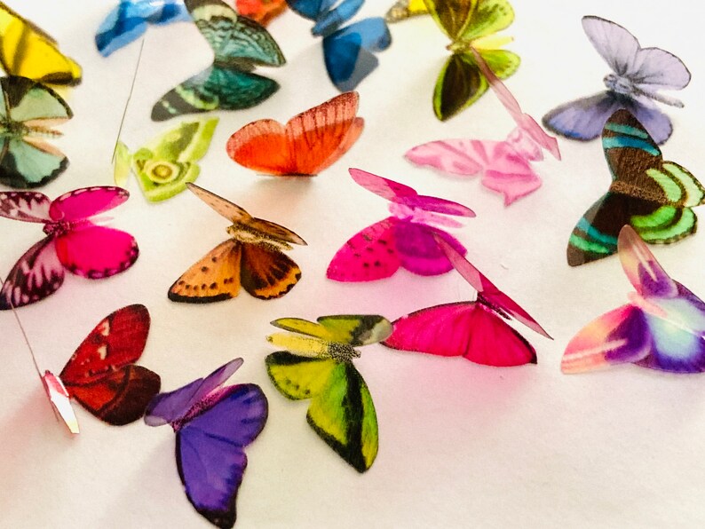 Miniature Individual Butterflies Plastic - Etsy