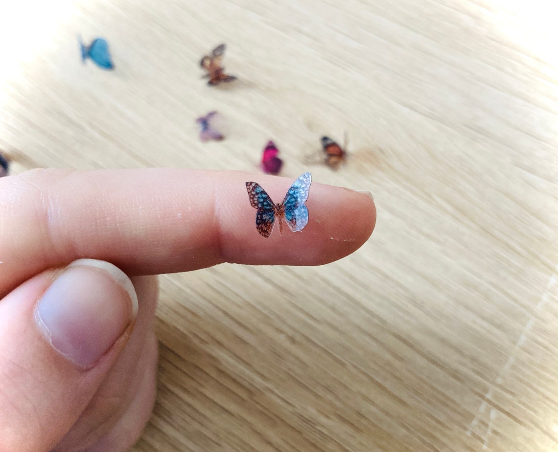 Miniature Individual Butterflies Plastic - Etsy