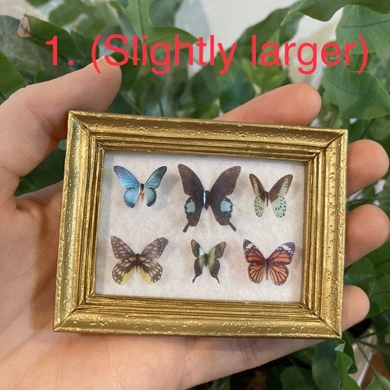 Miniature Butterfly - Etsy