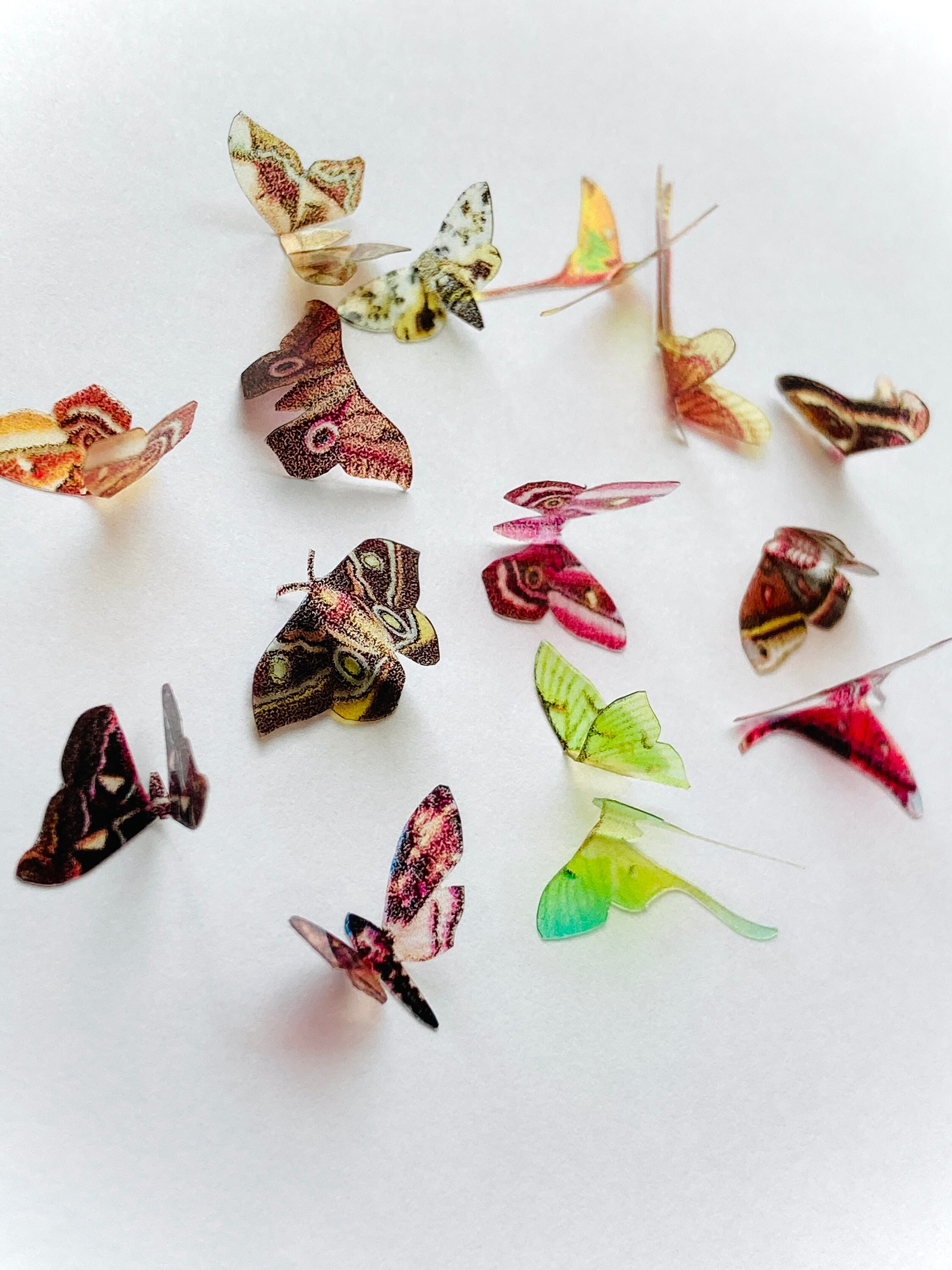 Miniature Plastic Moths | Etsy