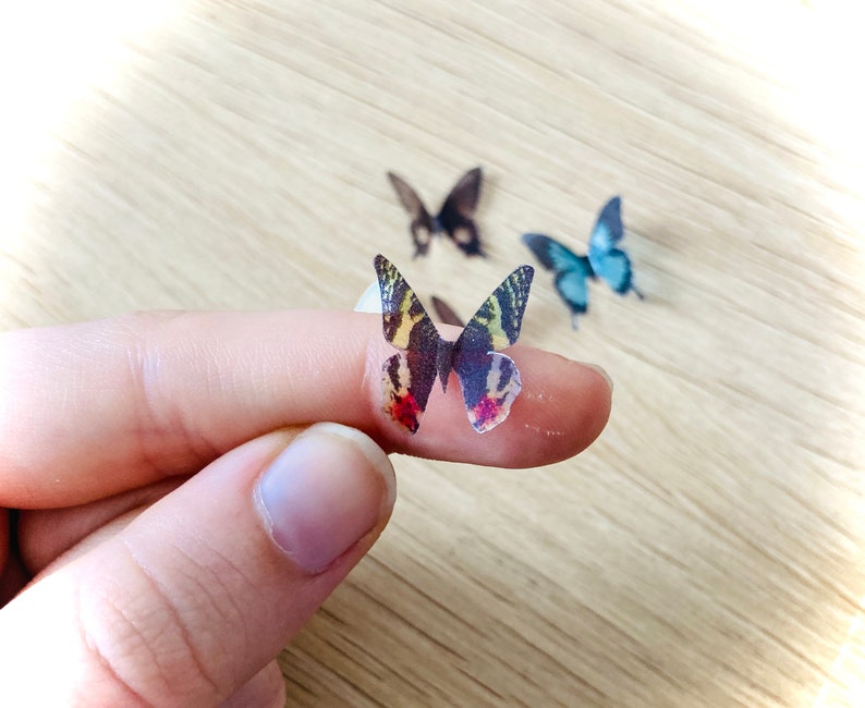 Miniature Individual Butterflies Plastic - Etsy