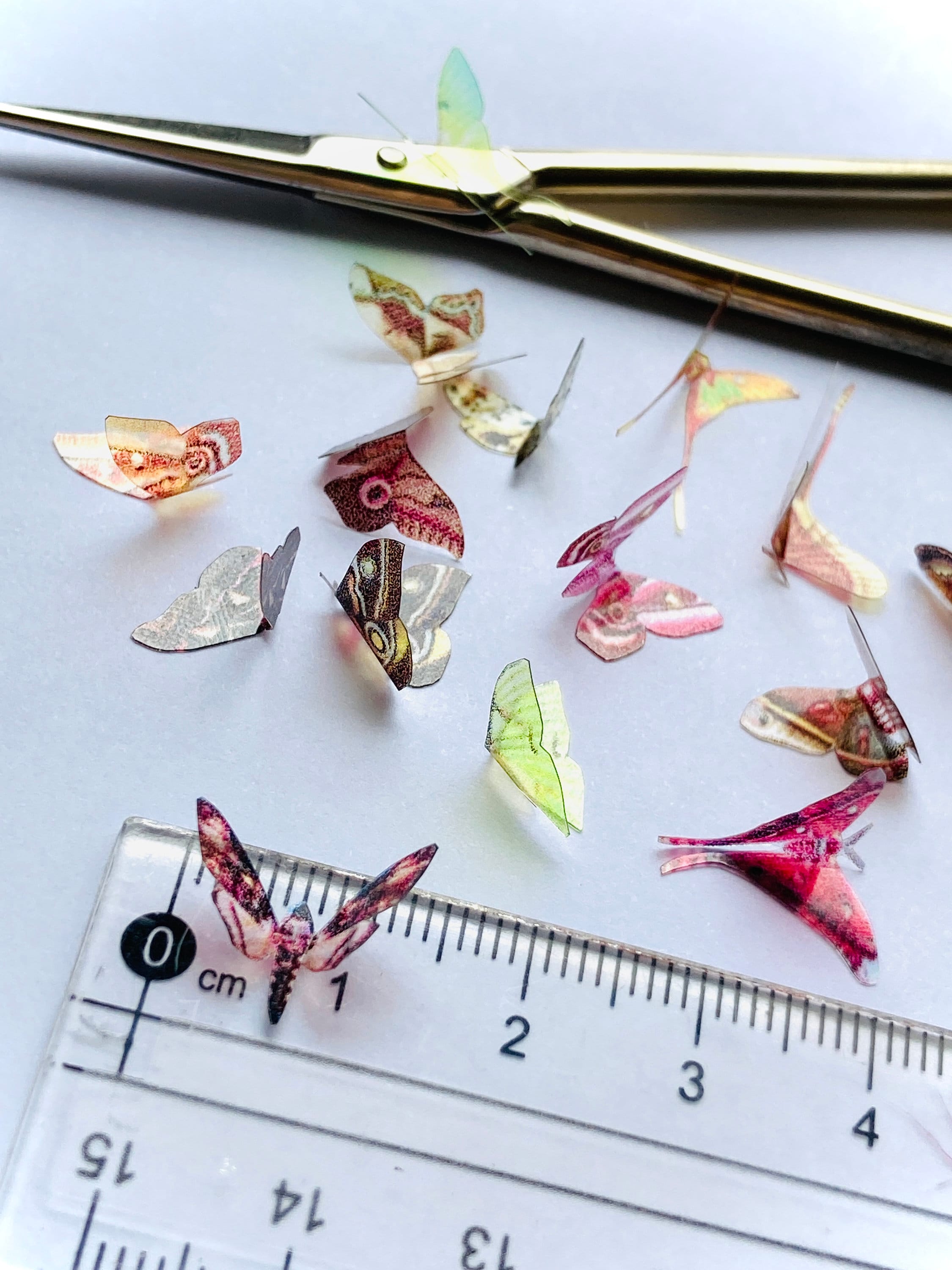 Miniature Plastic Moths | Etsy