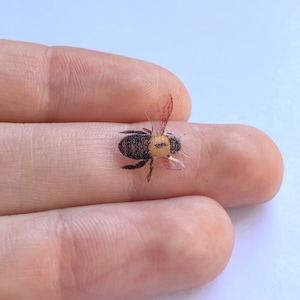 Miniature Plastic Bees - Etsy