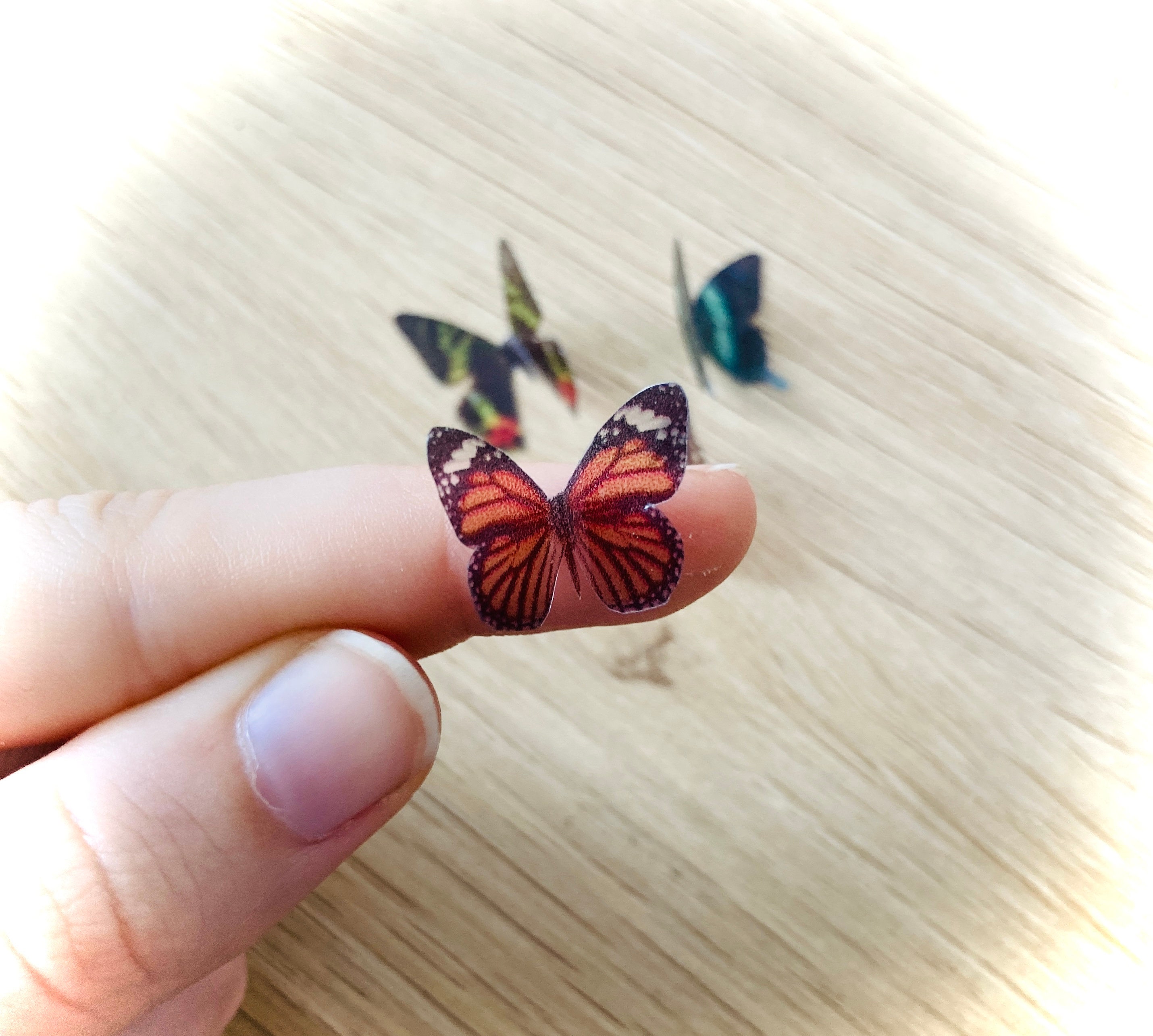 Miniature Individual Butterflies Plastic - Etsy
