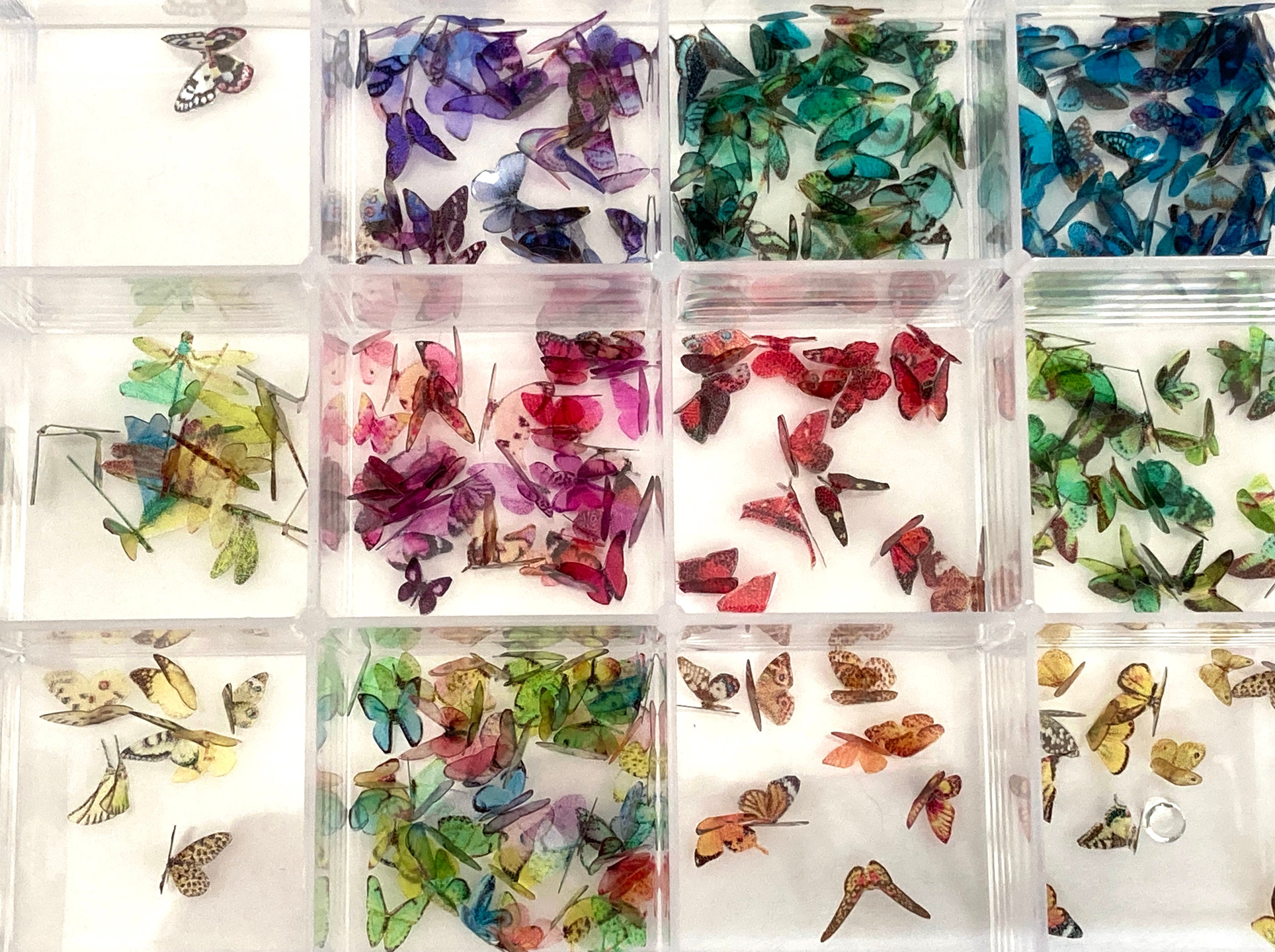 Miniature Individual Butterflies Plastic - Etsy